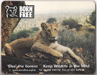 Collectibles from Born Free, Elsa & Adamsons